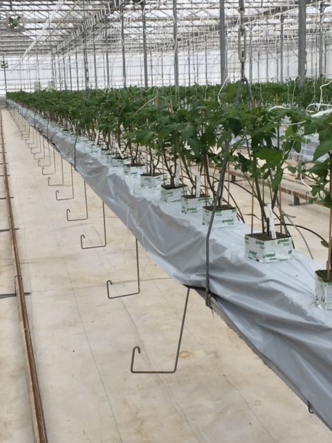 I LOVE Science! - Sun Harvest Greenhouses