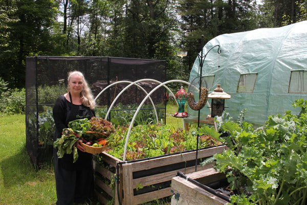 Sun Harvest Workshops & Events! - Sun Harvest Greenhouses