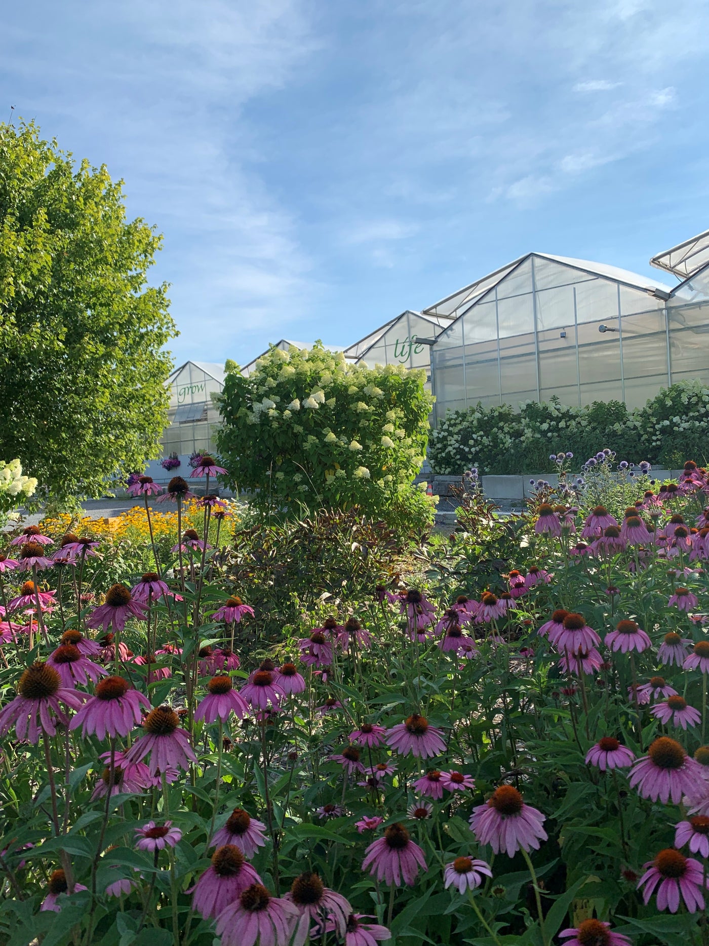 Sun Harvest Greenhouses