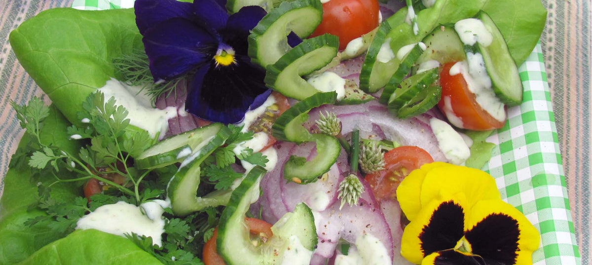 Sun Harvest Greenhouses