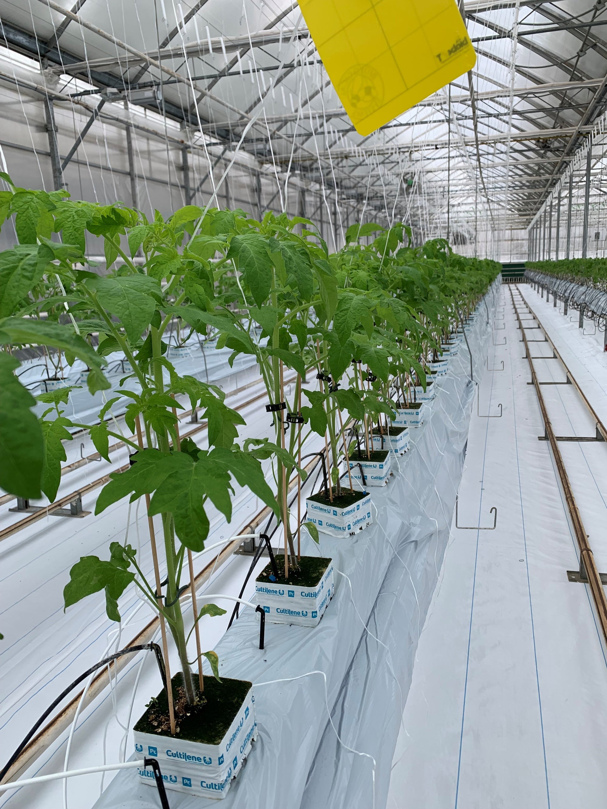 Sun Harvest Greenhouses